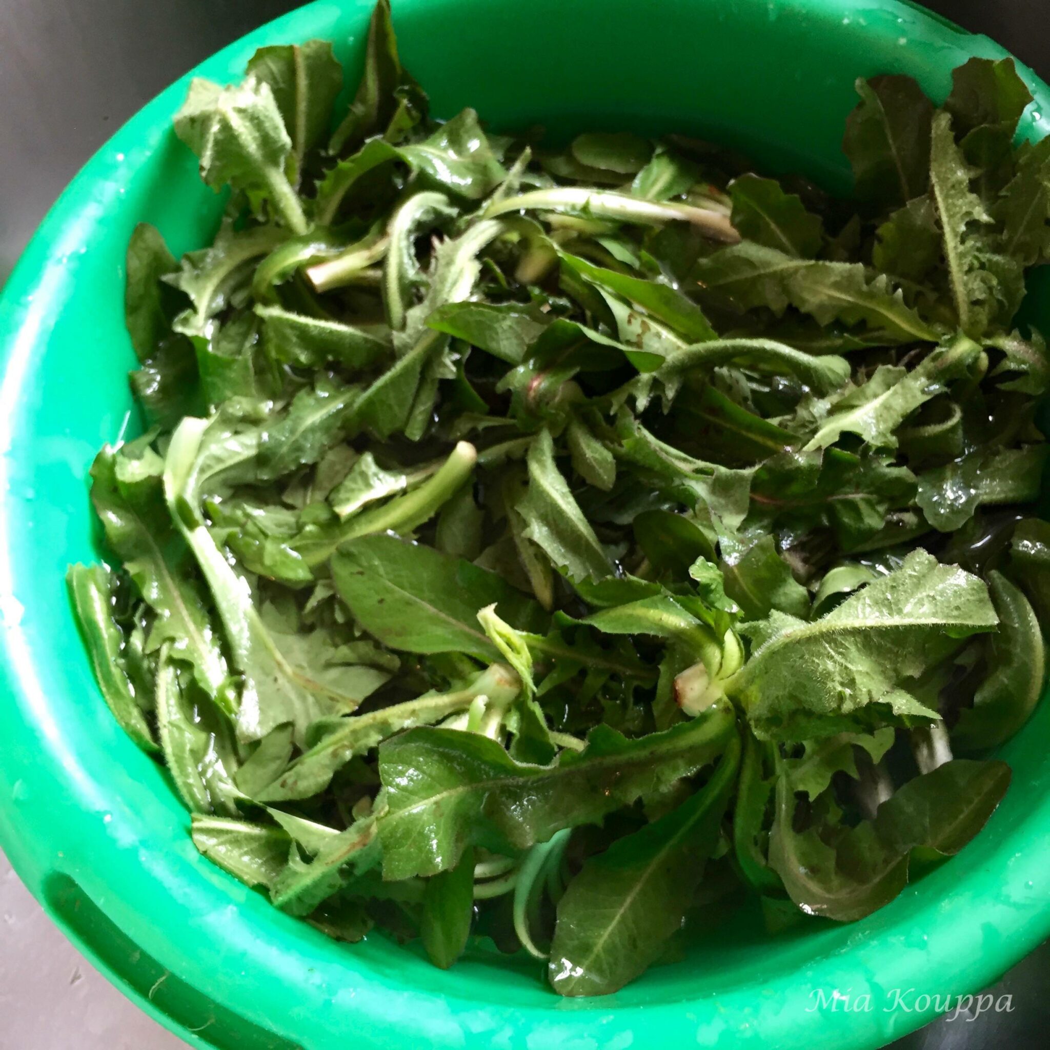 Horta, Dandelion greens (Χόρτα) - Mia Kouppa, Greek recipes