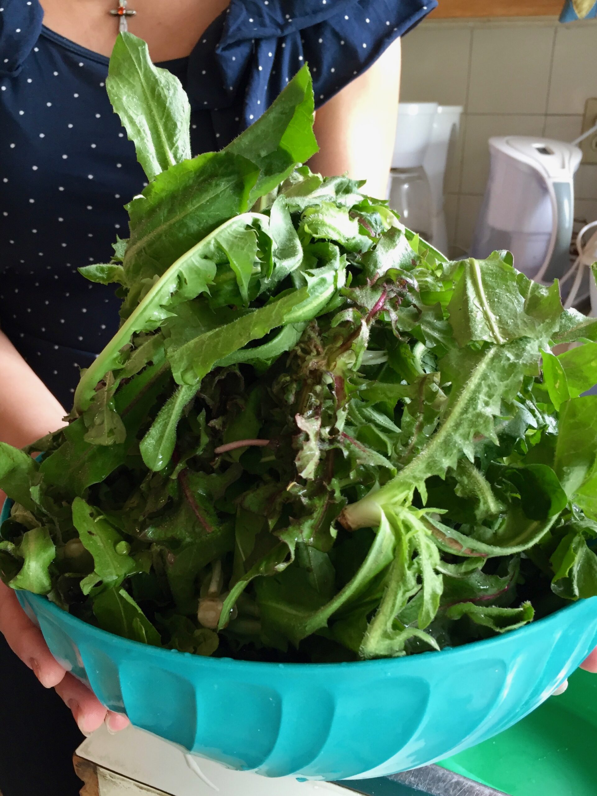 Dandelions - Mia Kouppa, Greek recipes and more